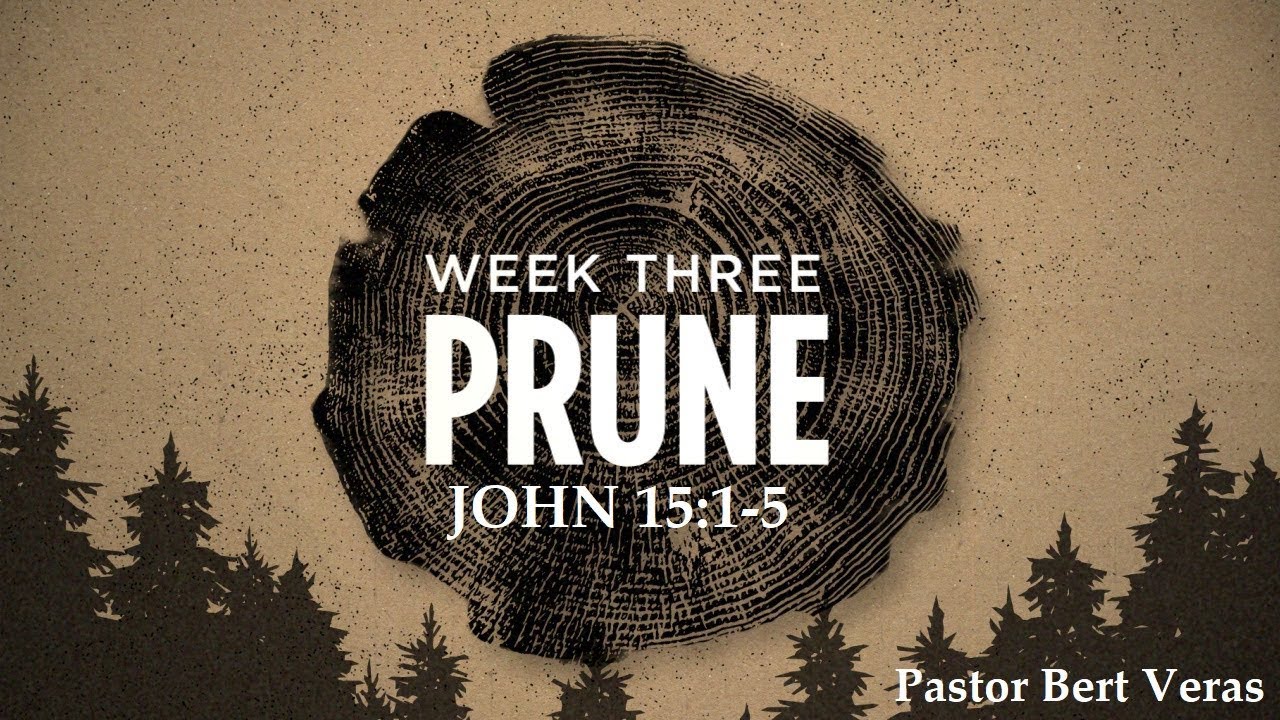 PRUNE Pastor Bert Veras (March Sermon Series) - YouTube