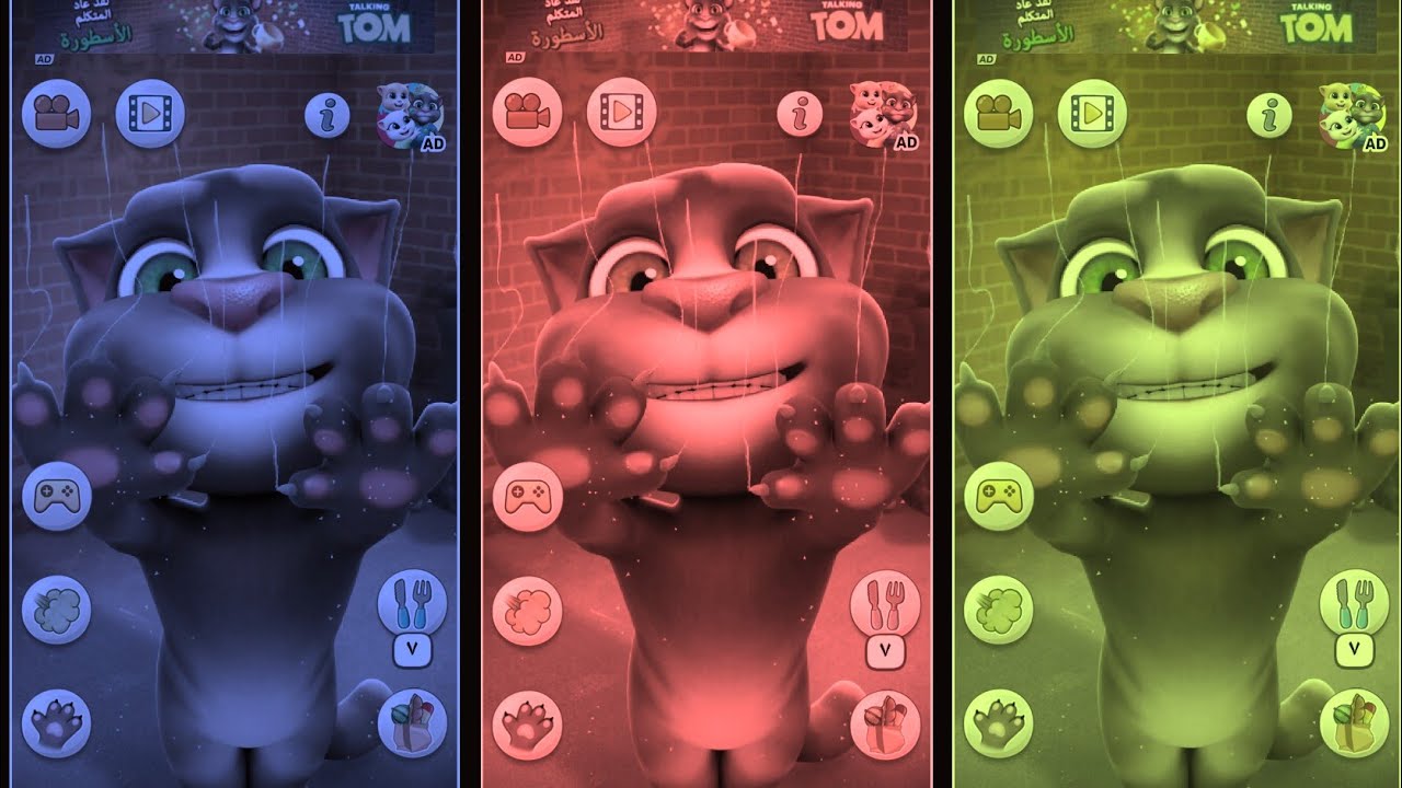 Talking Tom says no #Talking - YouTube