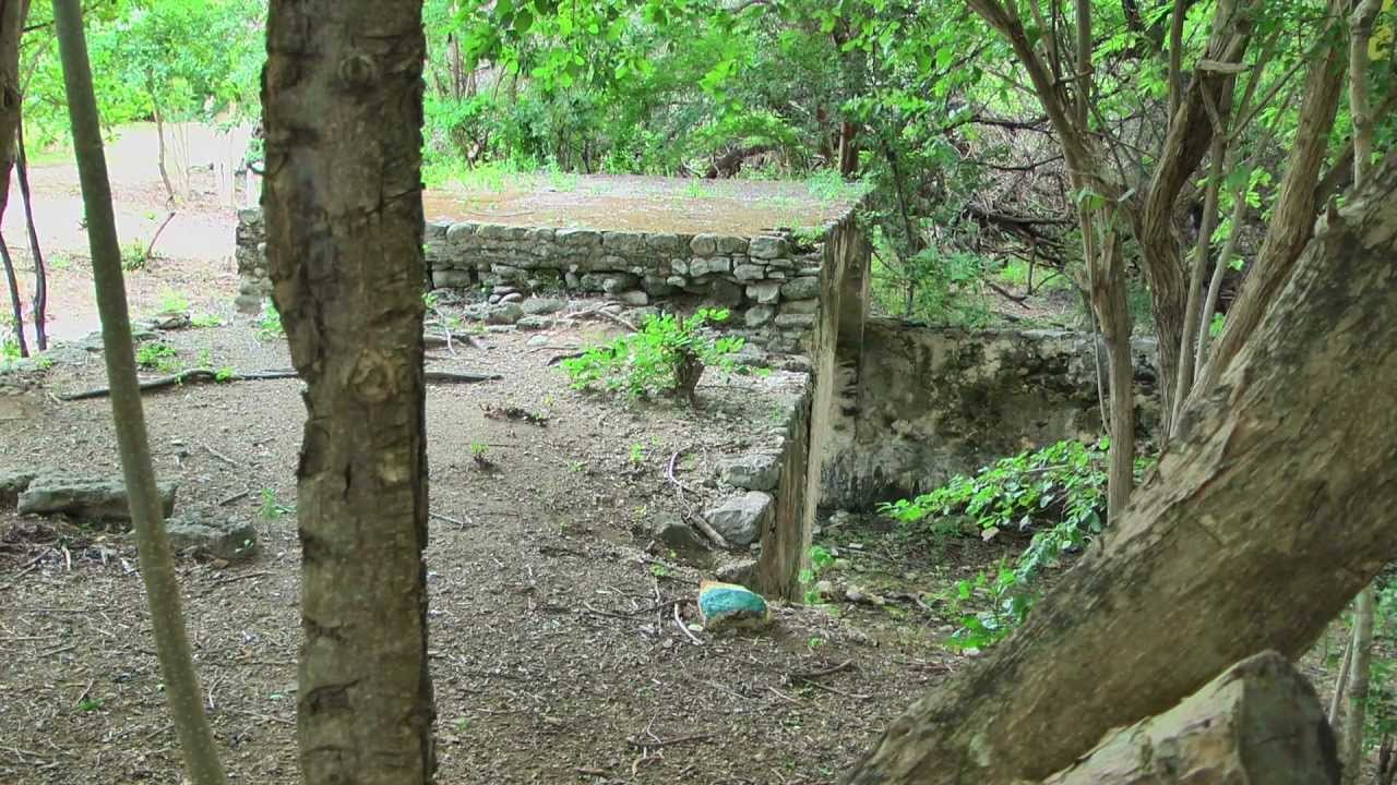 "Den Dunki" National park - YouTube