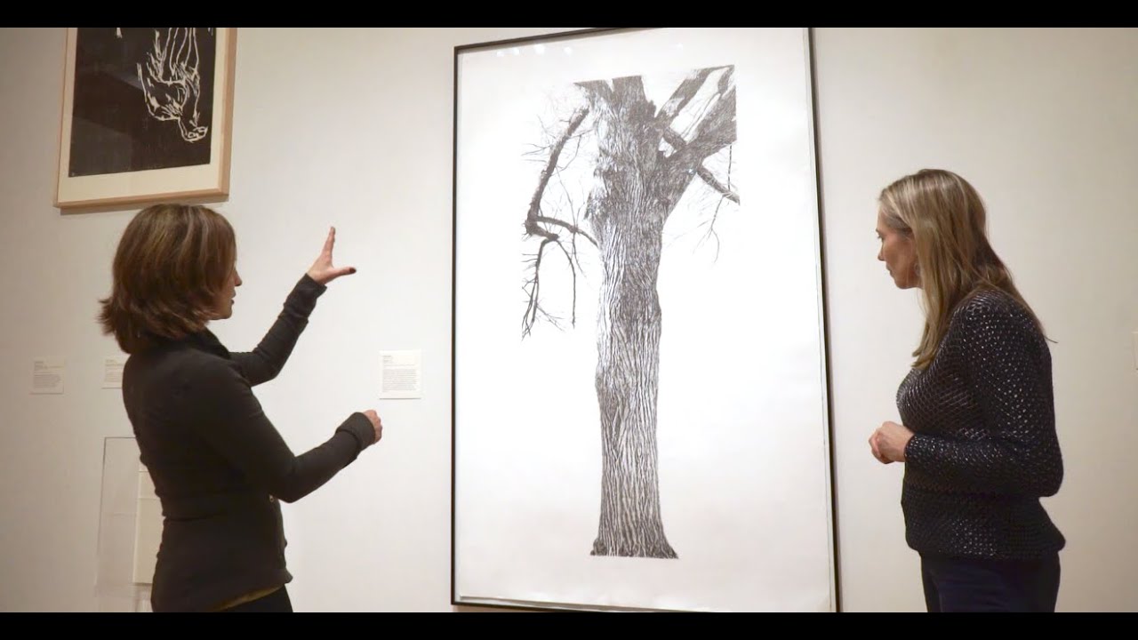 Sandra Allen (artist) - Alchetron, The Free Social Encyclopedia