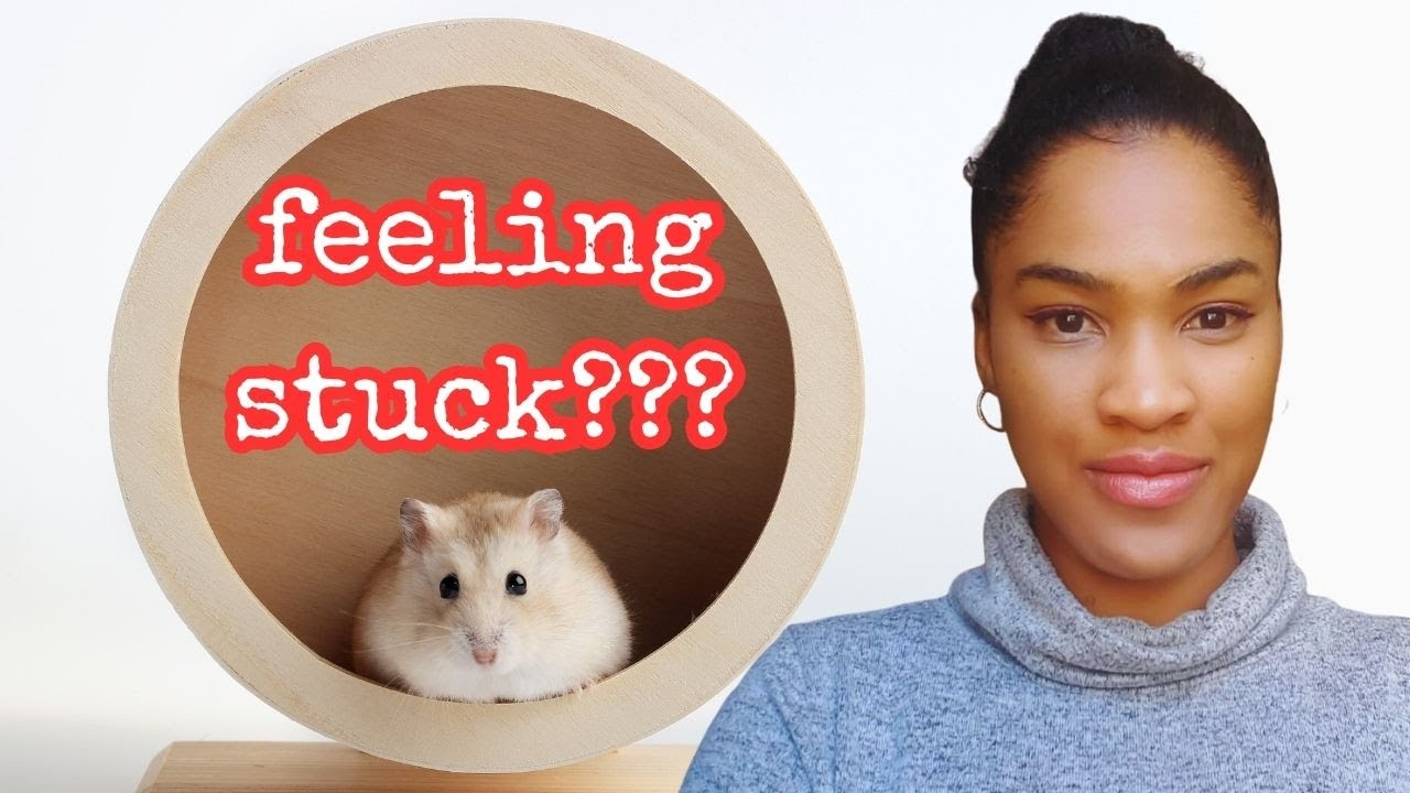 Why You Feel Stuck In Life / Escape The Hamster Wheel Of Life - YouTube