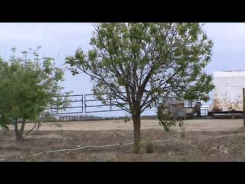 Valadao, Valadao Dairy - Farm, 17293 9 1/2 Avenue, Hanford, Accessed 4 ...