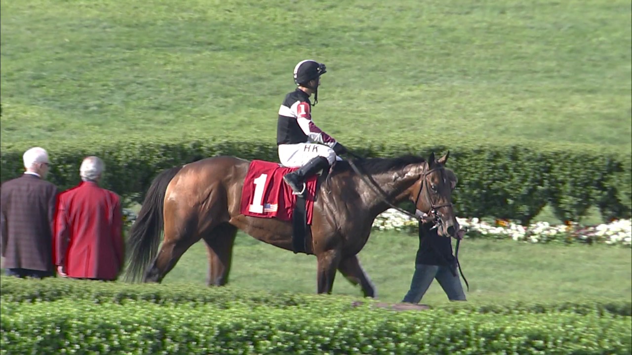 OAKLAWN RACE REPLAY: 2017 $150,000 BACHELOR Stakes Featuring Recruiting ...