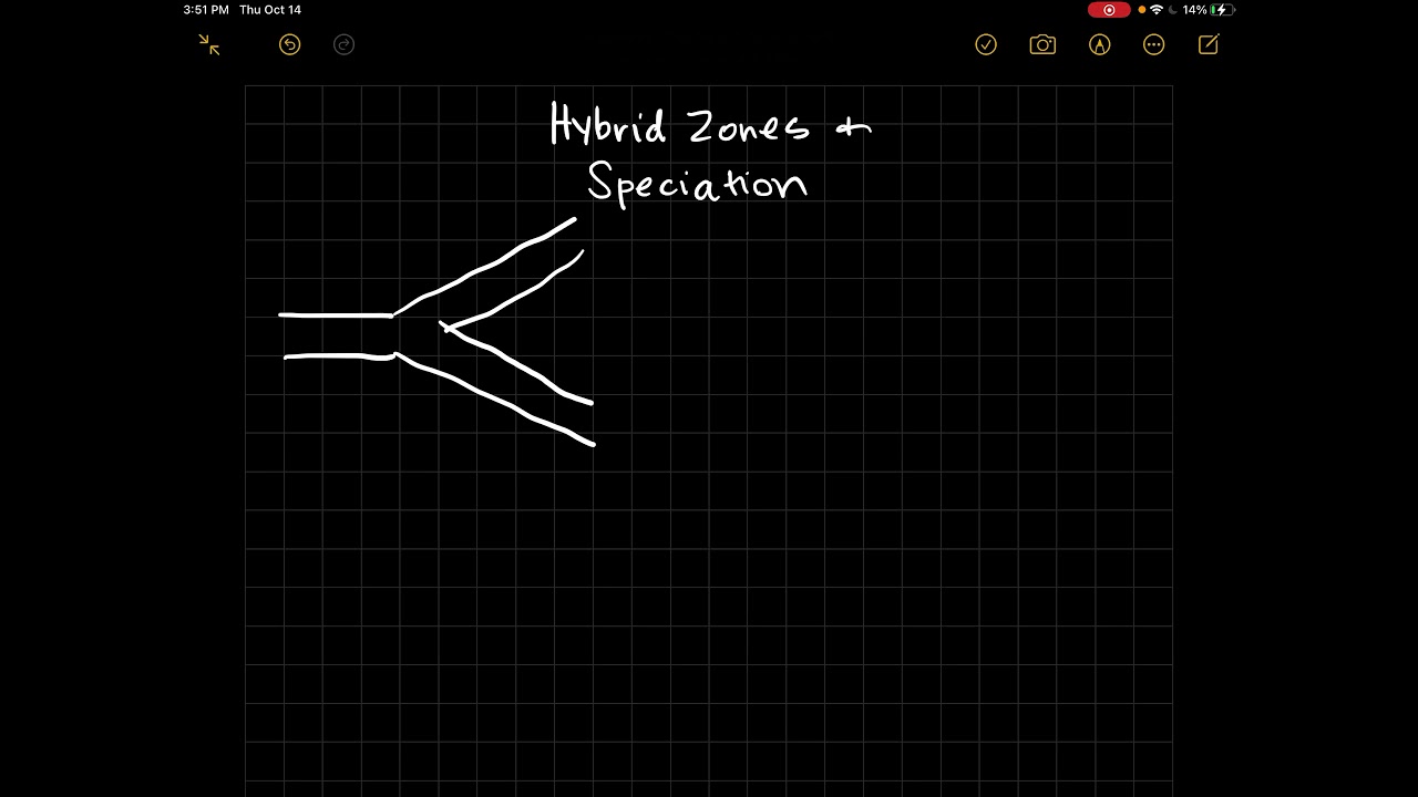 Campbell biology Hybrid Zones and Speciation - YouTube