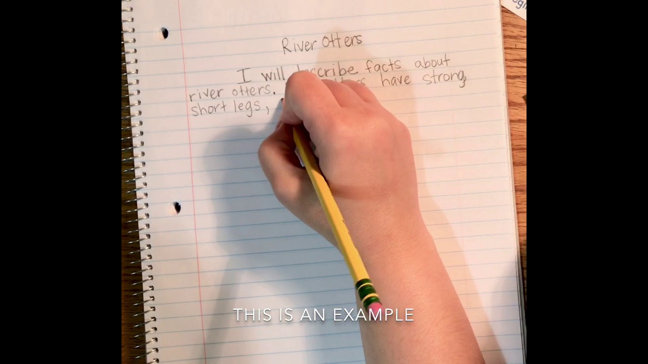 Science Lesson 13 Example Draft Paragraph YouTube science-lesson-13-example-draft-paragraph-youtube