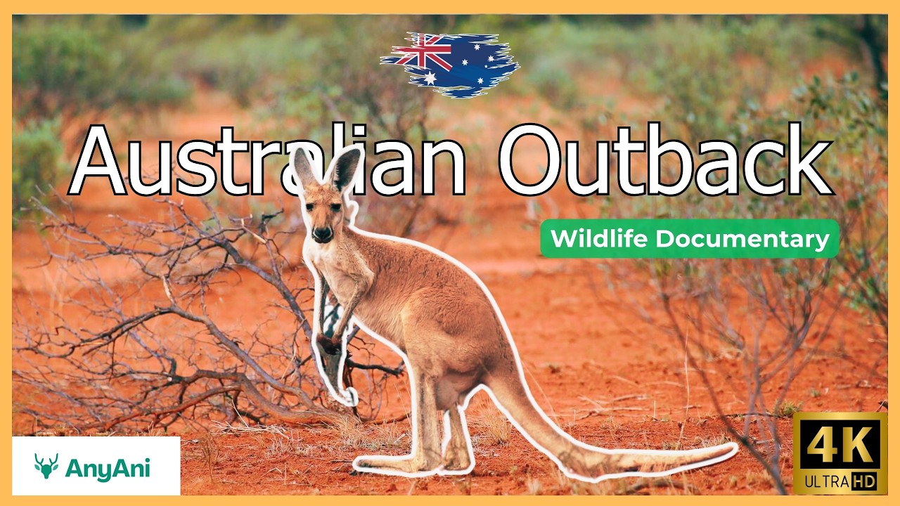 Australian Outback | Outback Wildlife: Meet the Legends of the Red ...