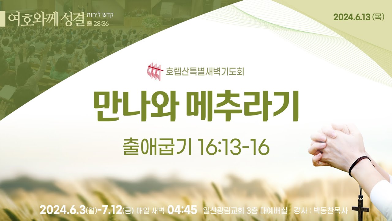 호렙산 11일차 만나와 메추라기 출애굽기 16 13 16 Youtube