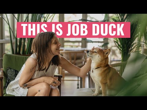 This is Job Duck - YouTube