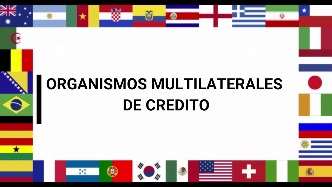 ORGANISMOS MULTILATERALES - YouTube