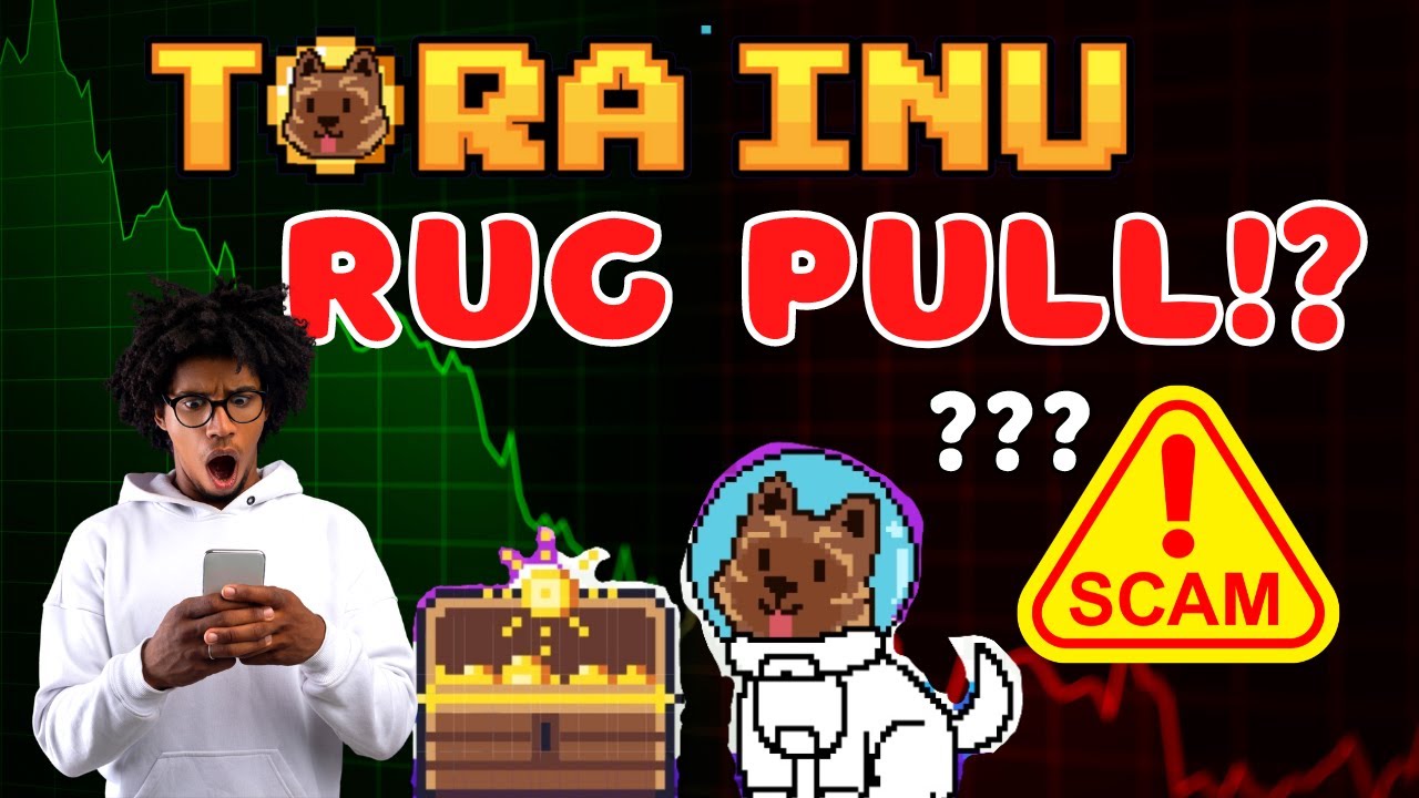 TORA INU TOKEN RUG PULL!? WHAT HAPPENED?? - YouTube