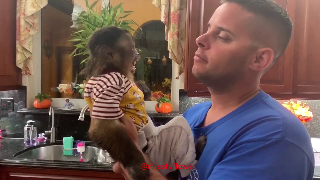 Monkey Russel noticed someone got home and it was his human brother! ️👍 ...