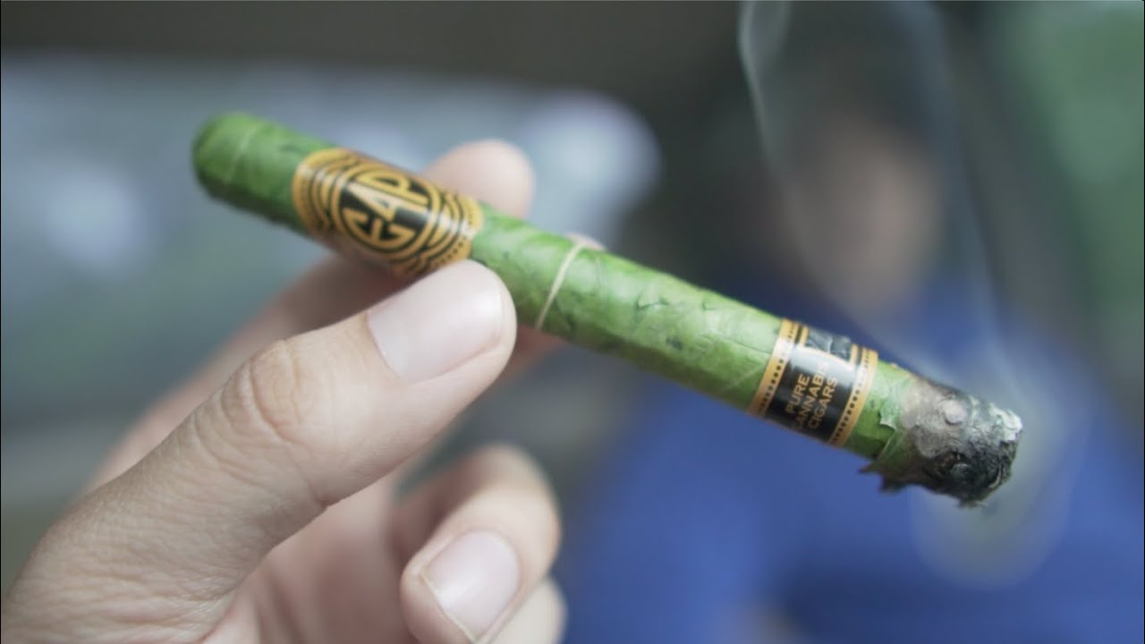 THE CANNAGAR HOTBOX - YouTube