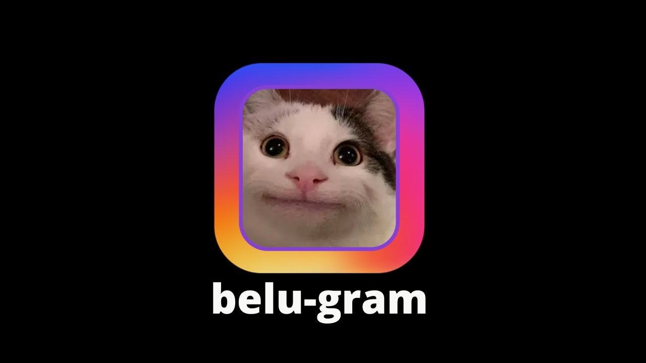 If Beluga Owned Instagram Youtube