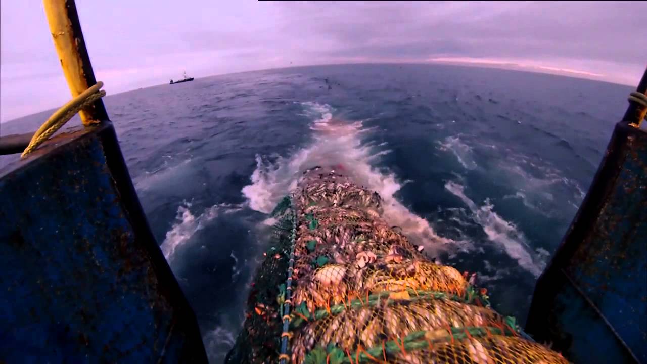 At Sea Processors Recognized for Research Contributions - YouTube