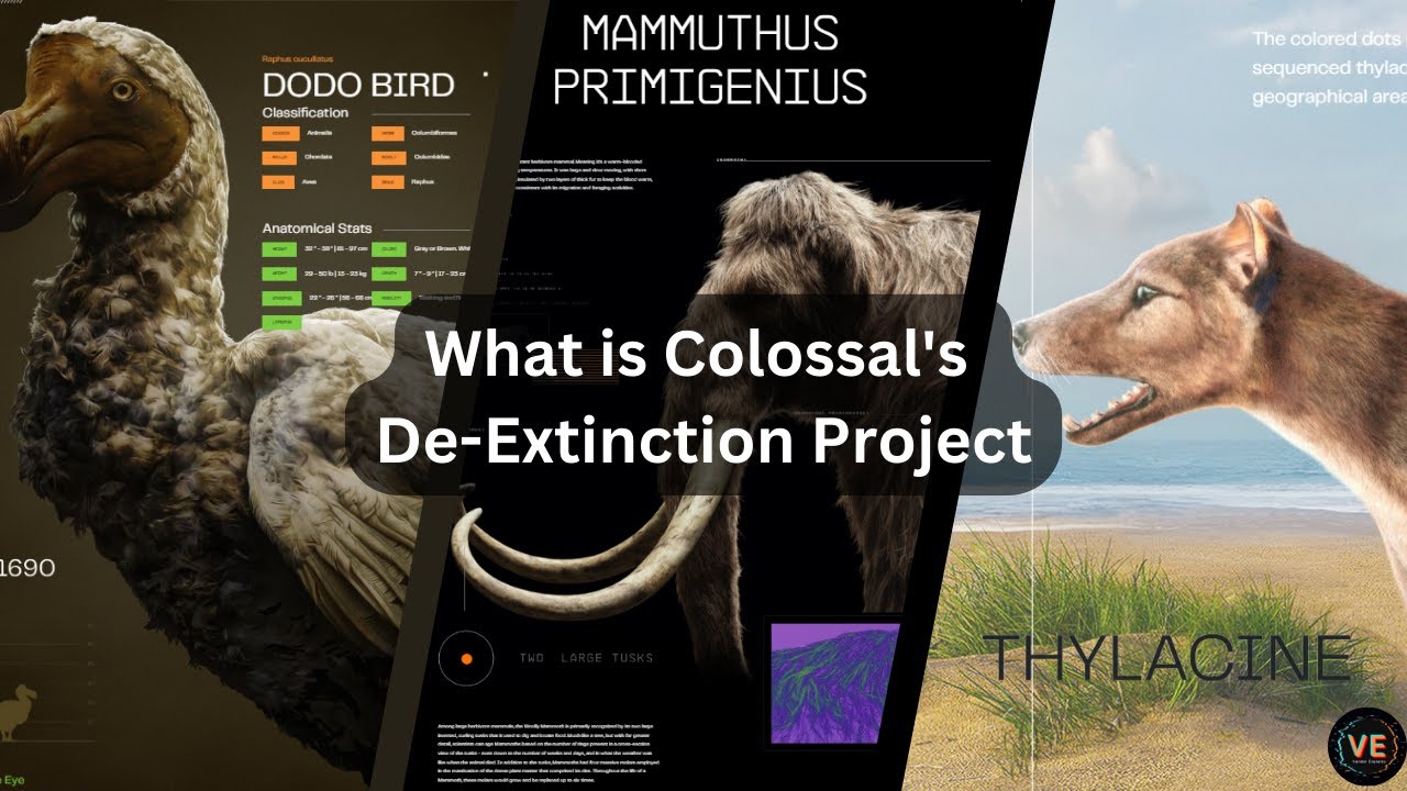 Ressurrecting the Woolly Mammoth, When will it happen? | Colossal Labs ...