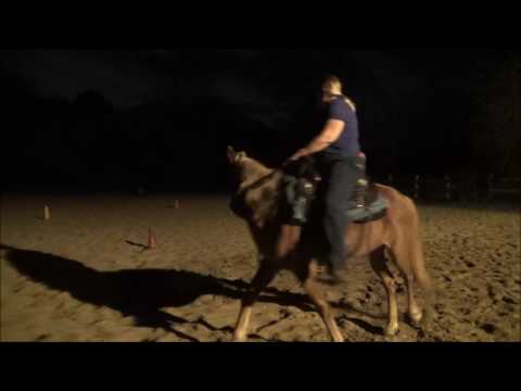 Diva Fundamentals-Clinton Anderson's The Method Yielding HQ Lateral ...