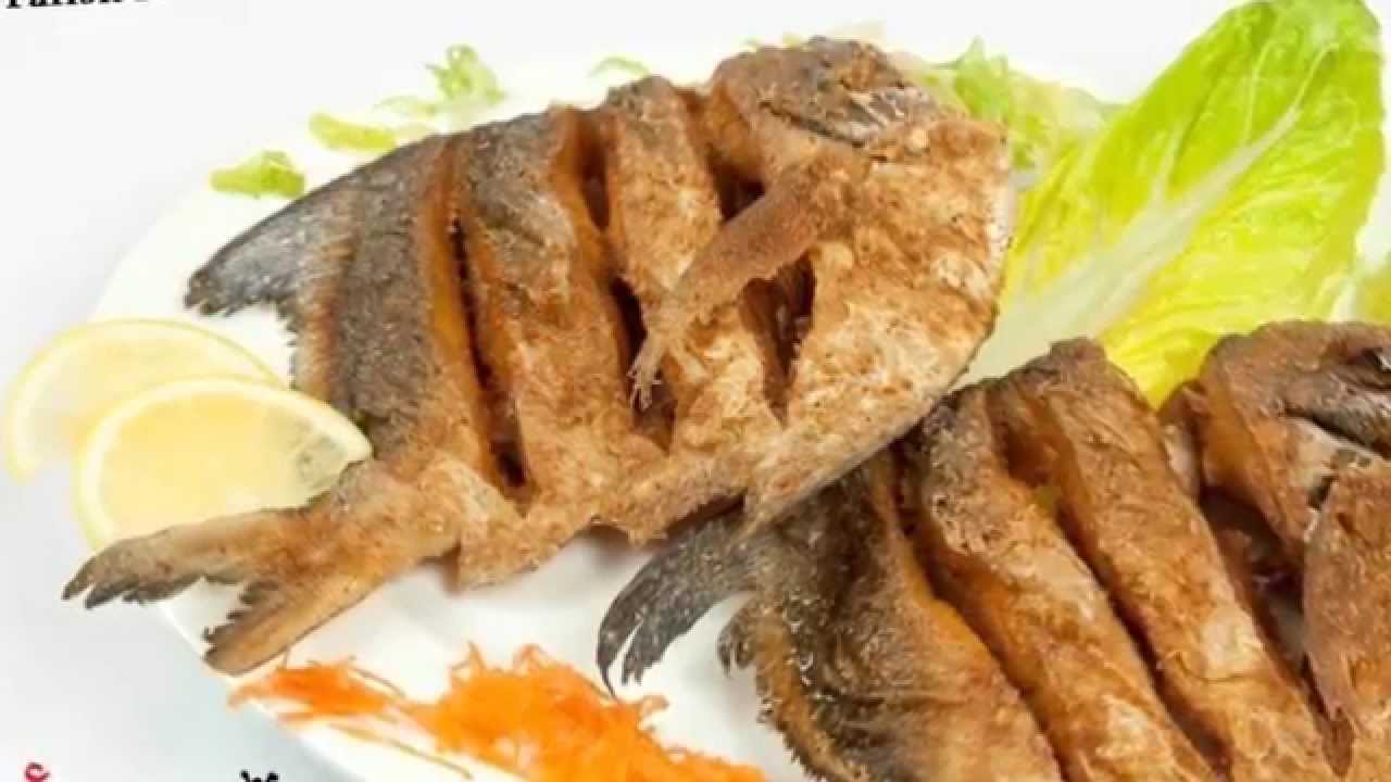 ابوطافش abu tafish - YouTube