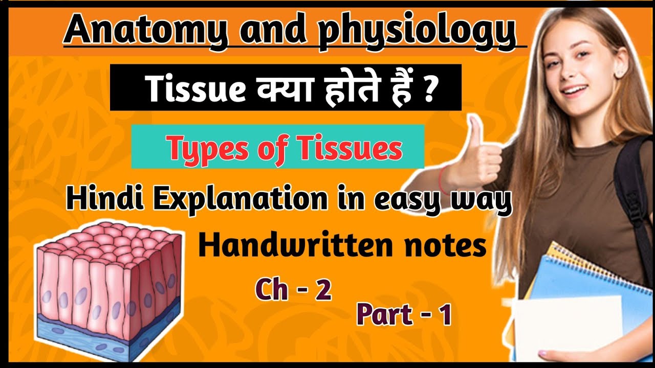 Tissue || Types of Tissues || Anatomy & Physiology || Drishti Pharma ...