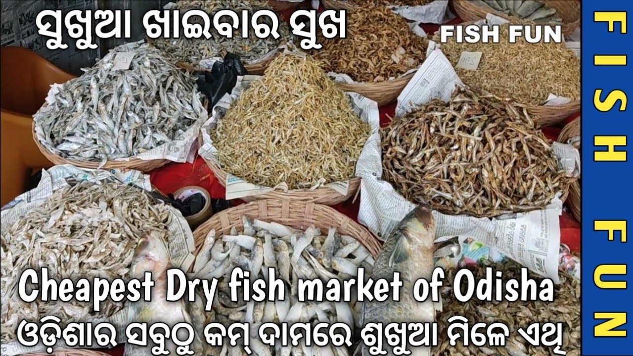 Dry fish market of odisha balugaon chilika fish market - YouTube