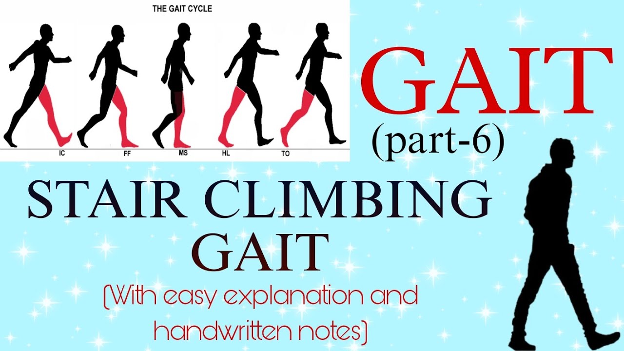 GAIT-6 | Stair climbing gait | with easy explanation and handwritten ...