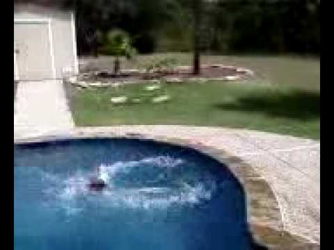 Swimming pool belly flop - YouTube