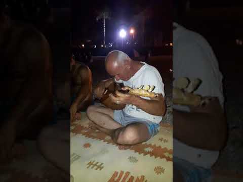 Antalya konyaaltı canlı müzik