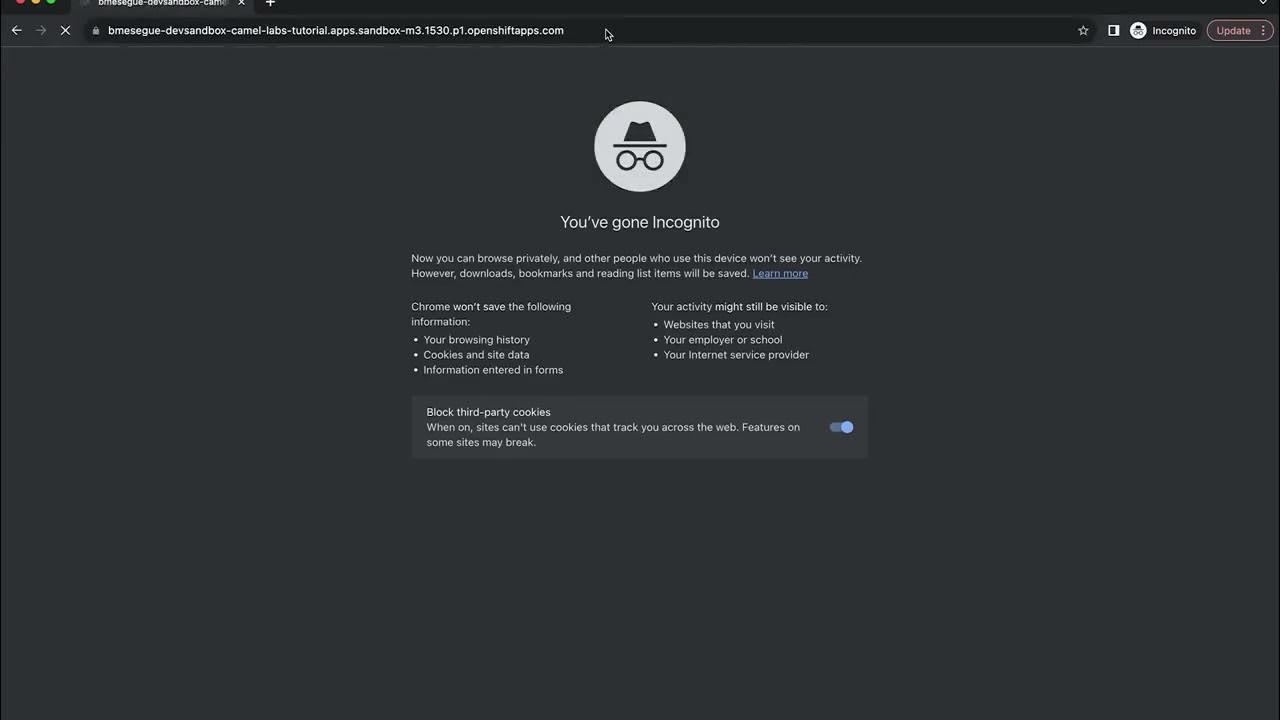 Try Camel on Quarkus in the Developer Sandbox for Red Hat OpenShift ...