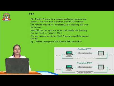 Internet & World Wide Web | Web Programming | FYBSc. IT - Sem 2 | SST ...