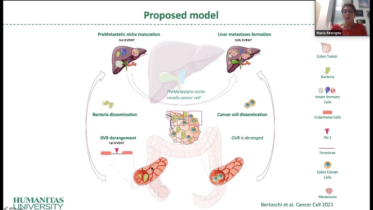 Microbiota in gut-liver-brain axis by Dr. Maria Rescigno - YouTube
