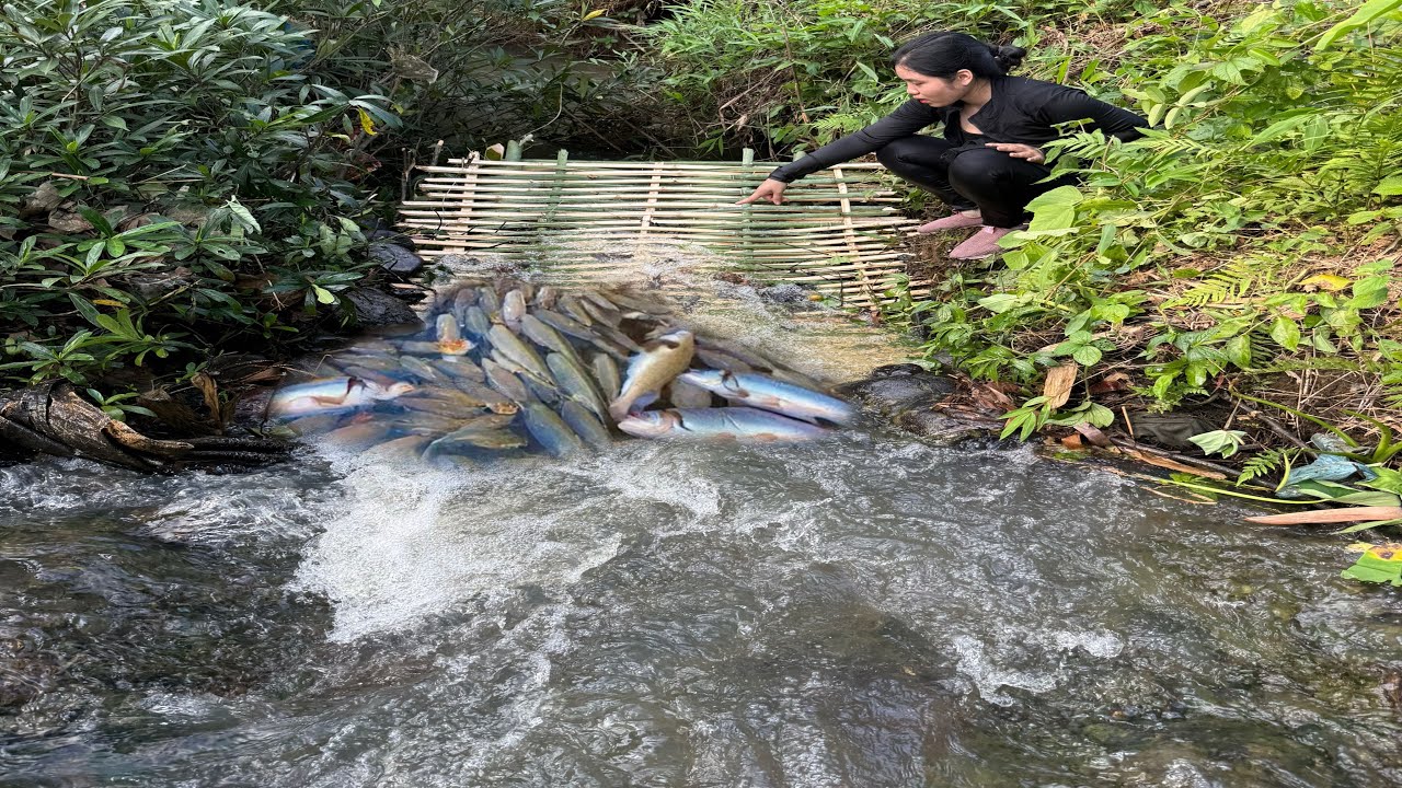 This way to catch fish is very effective, harvesting a large batch of ...