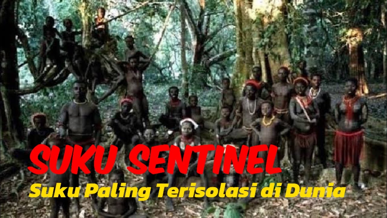 Fakta Unik: Suku Sentinel Suku Paling Misterius dan Terisolasi Menolak ...