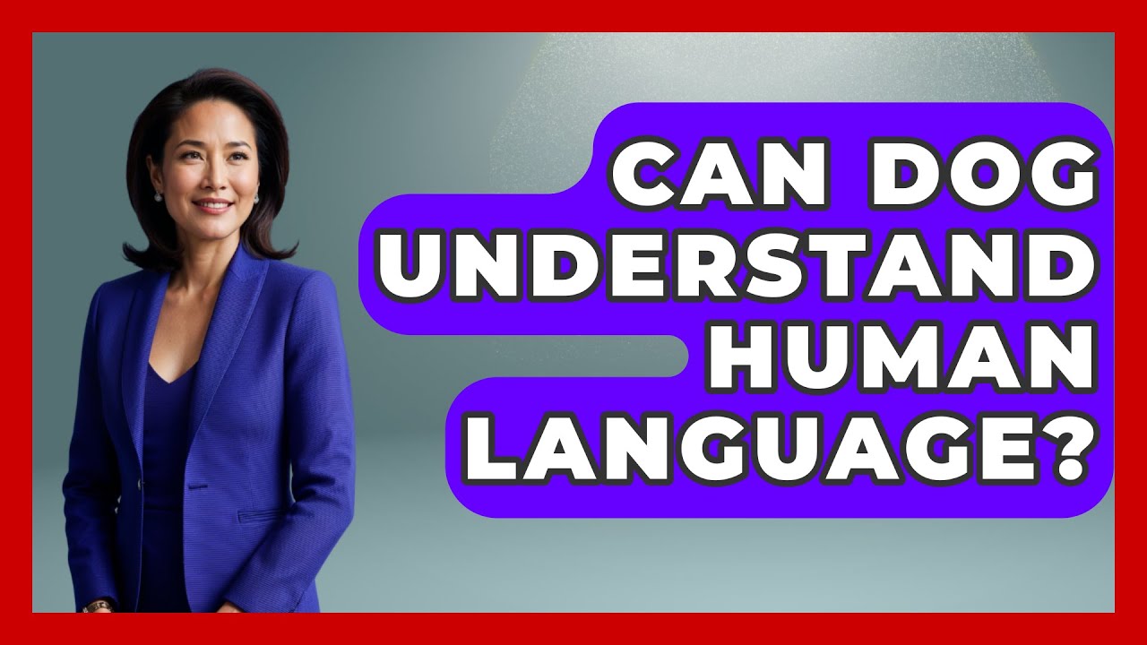 Can Dog Understand Human Language? - The Language Library - YouTube