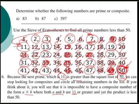 Prime Numbers | Divisibility Tests | Number Theory - YouTube