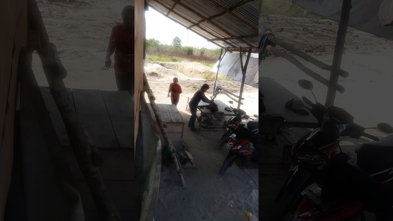 anak melawan orang tua - YouTube