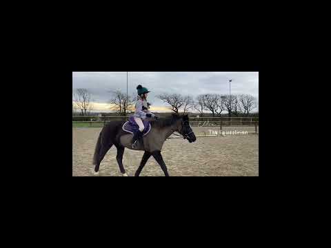 Fly high baby girl 🕊️ ️ - YouTube