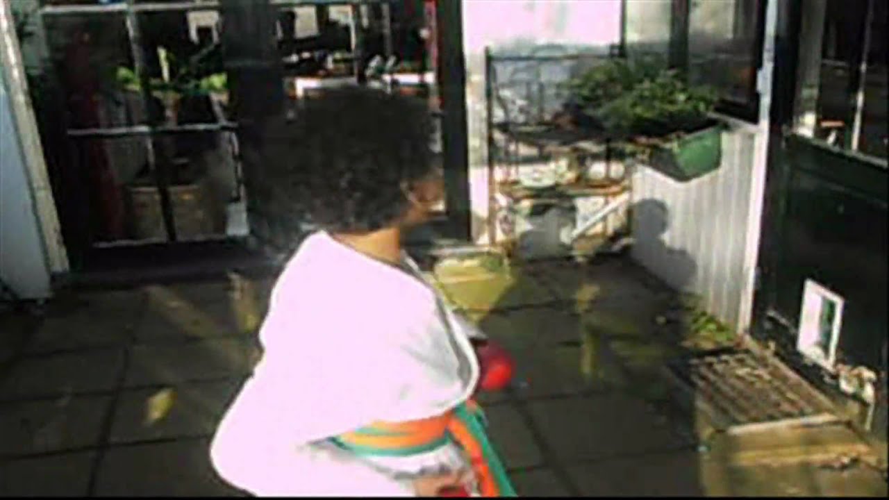 Kata Pinan Sandan wado Ryu - YouTube