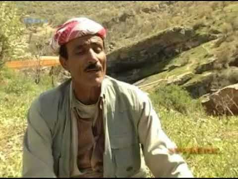 Sukri rekani kine