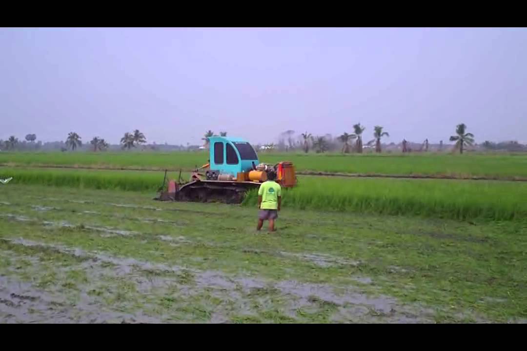 Rice Field Mower in Thailand - YouTube