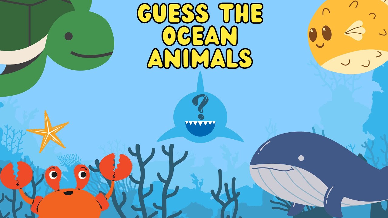 Guess the Ocean Animals | Fun Sea Creature Riddle Song for Kids | Mr ...