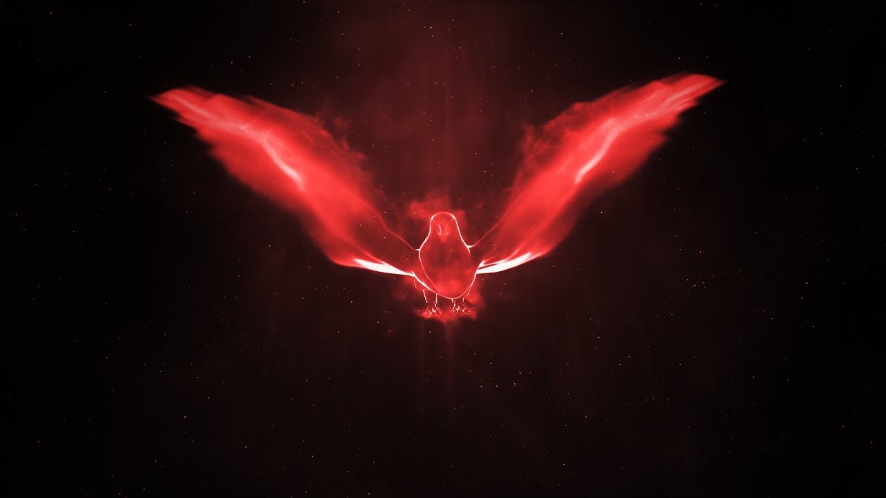 Free After Effects Intro Template #341 : Bird Logo Reveal Template for ...