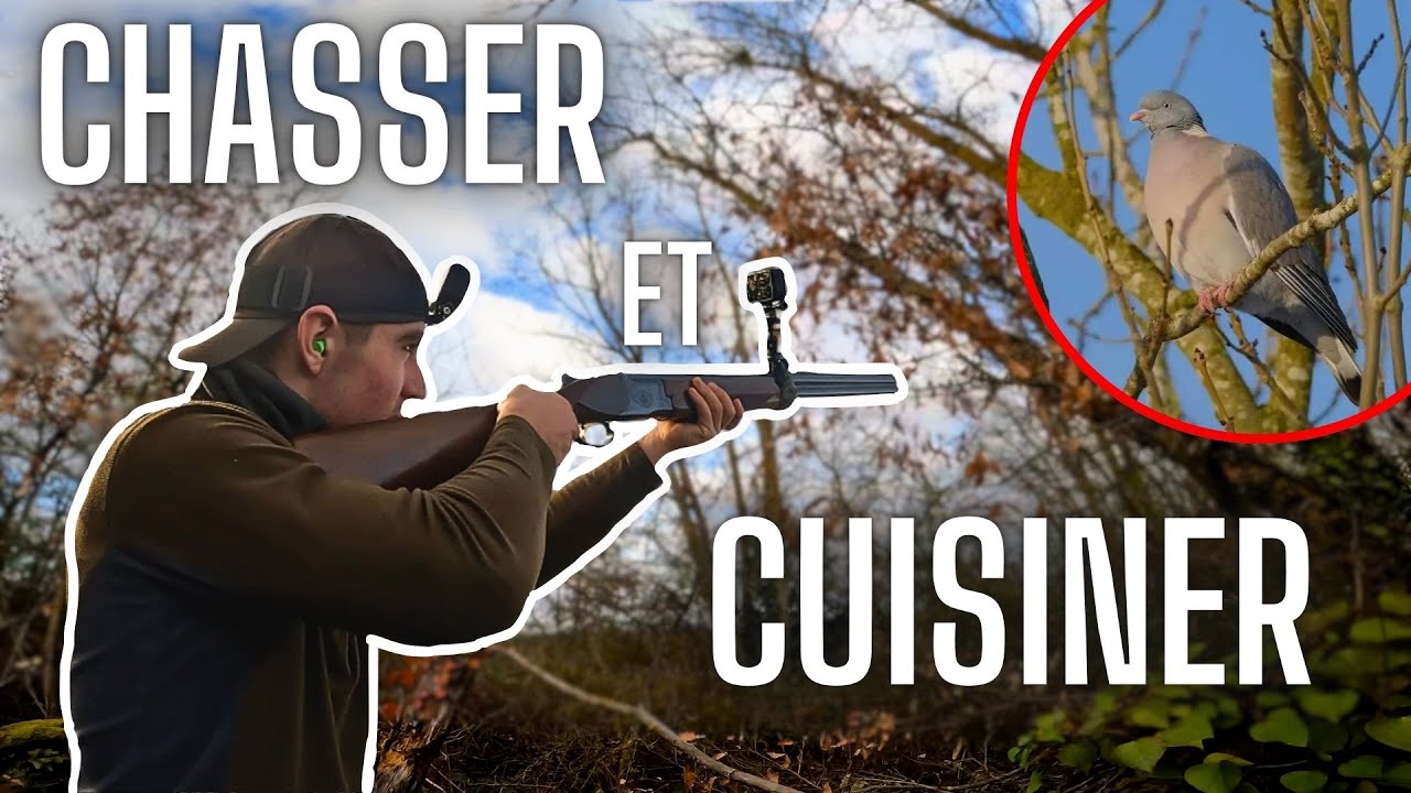 CHASSER et CUISINER la PALOMBE !!! (avec une recette facile) - YouTube