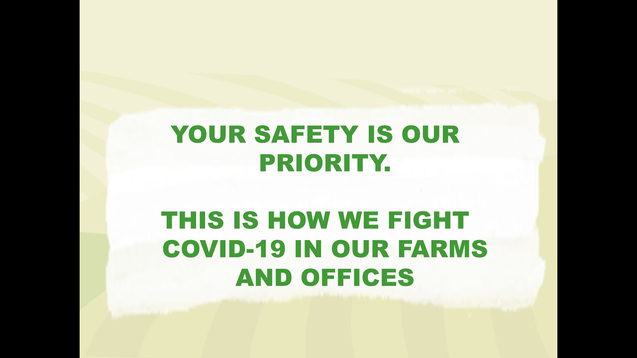 Your safety is our priority - COVID-19 (EN) - YouTube
