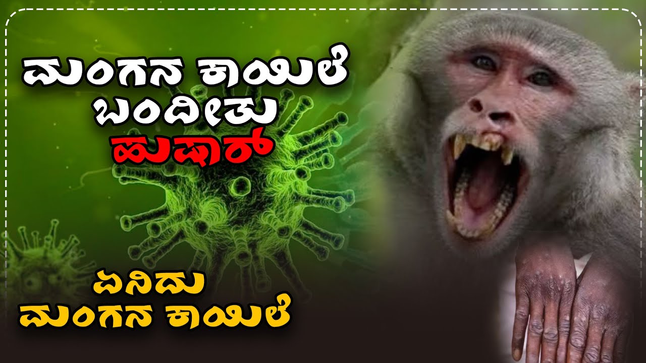 ಏನಿದು ಮಂಗನ ಕಾಯಿಲೆ? | KFD The Monkey Fever/Kyasanur Forest Disease ...