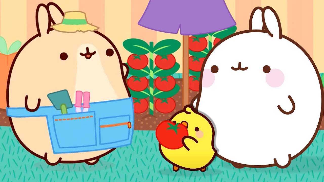 Molang y Piu Piu 🥕 Huerta 🍅🫑 Dibujos animados para niños | Temporada 2 ...