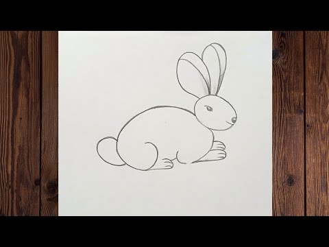 How to draw rabbit easy/class 2 drawing simple - YouTube