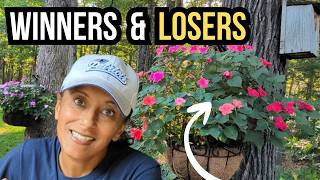 What Worked And What Didn't  (Summer Container Pots)