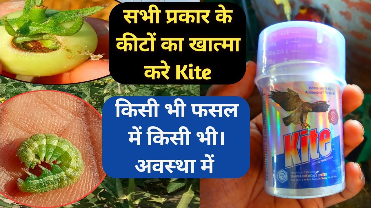Kite insecticide for any insects.घराड काइट कीटनाशक सभी प्रकार के कीटों ...