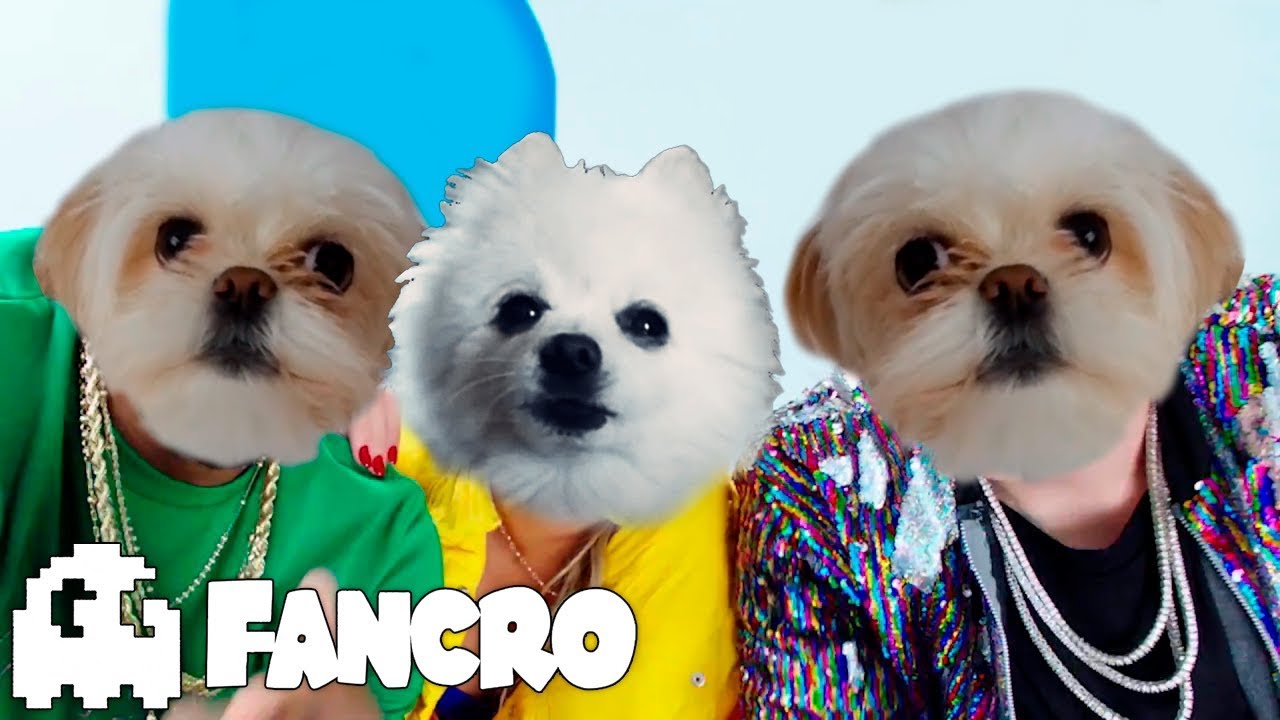 Sofia Reyes - 1, 2, 3 - Cover Perros [Official Video] - YouTube