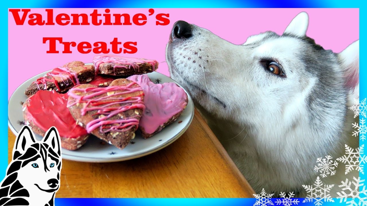 VALENTINE'S DOG TREATS DIY | Marble Hearts 💘 | DIY Dog Treats - YouTube