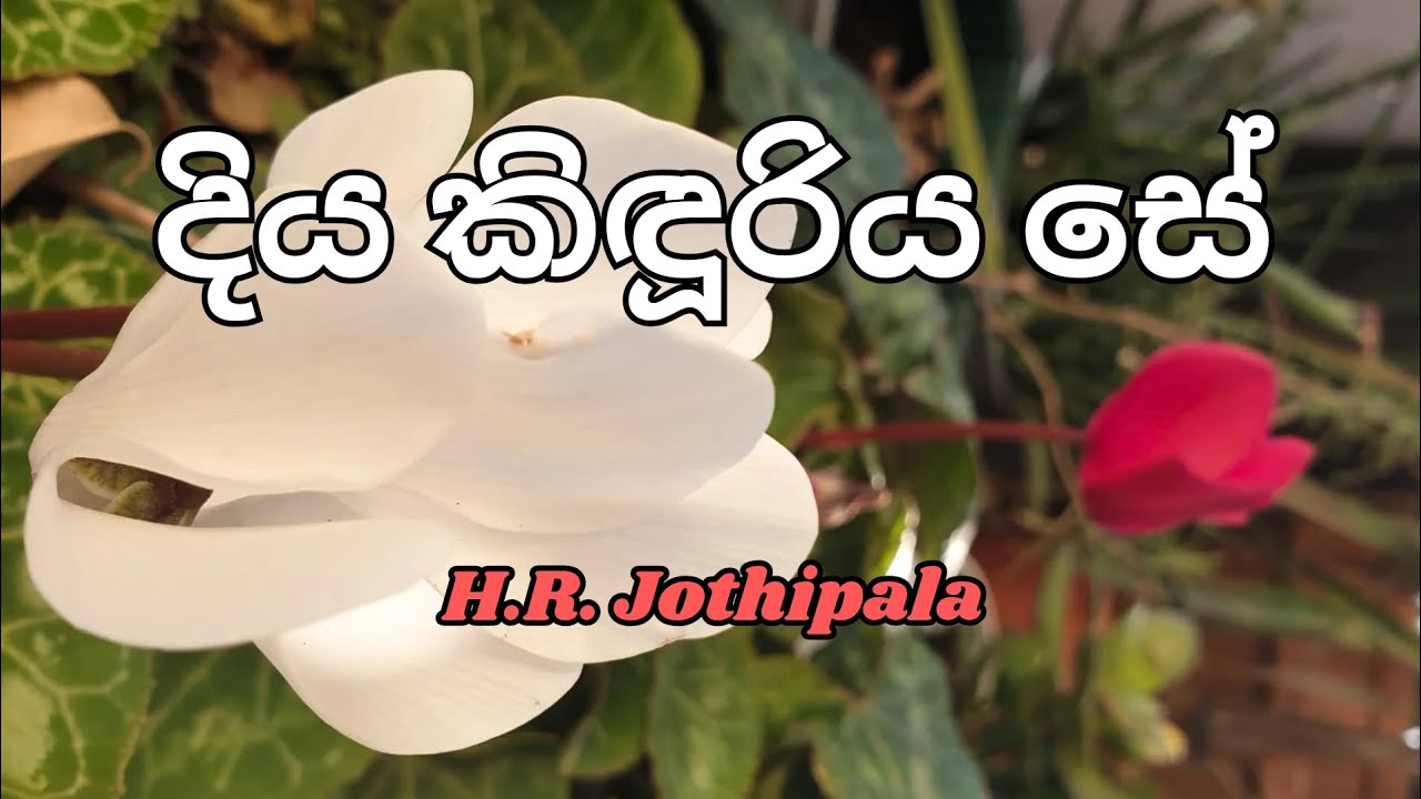 Diya Kiduriya Se (දිය කිඳූරිය සේ) - H.R. Jothipala #sinhala #song # ...